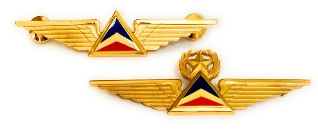 DELTA AIRLINES PILOT Wings Vintage Uniform Badges Pins $149.00 - PicClick