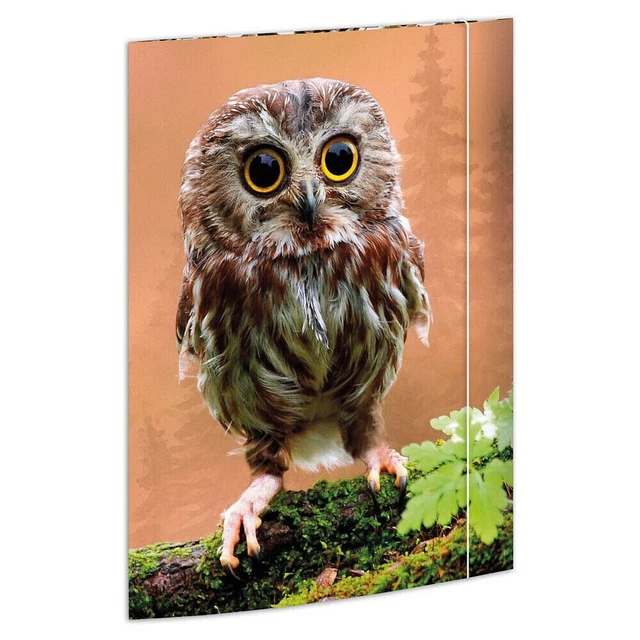ZEICHENMAPPE SAMMELMAPPE GUMMIZUGMAPPE DIN A3 Eule vom RNK Verlag EUR 4 ...