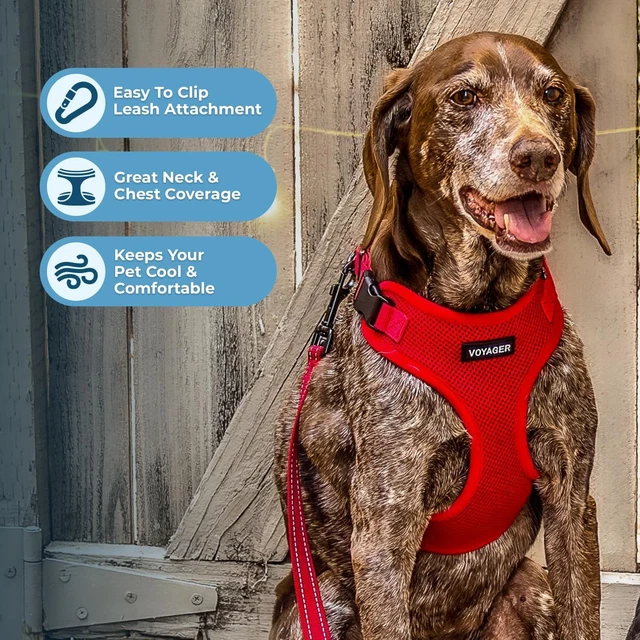 VOYAGER STEP-IN LOCK Pet Harness – All Weather Mesh, Adjustable Step in ...