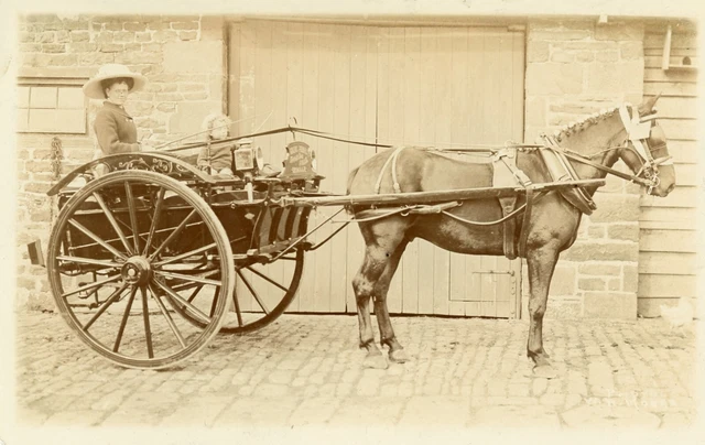 WADSLEY NR SHEFFIELD rare social history RP for Wadsley Farm (see cart ...