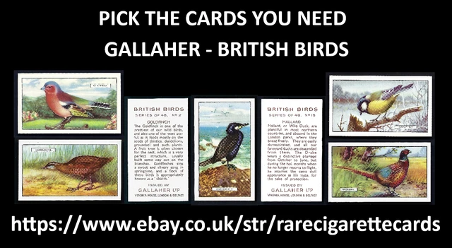 GALLAHER - BRITISH Birds - Pick The Cards You Need £1.49 - PicClick UK