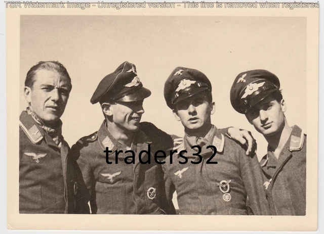 FOTO LUFTWAFFE SOLDAT Pilot Orden Flugzeugführerabzeichen Flieger ...