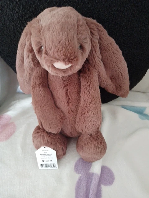 JELLYCAT MEDIUM BASHFUL Fudge Bunny With Detached Tag 2022 Retired £10. ...