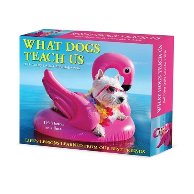 WHAT DOGS TEACH Us 2026 Box Calendar by Glen Dromgoole $28.45 - PicClick CA