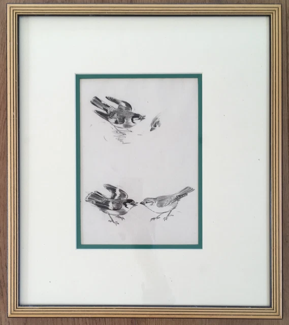 ORIGINAL EILEEN SOPER drawing of Birds. From Chris Beetles. Enid Blyton ...