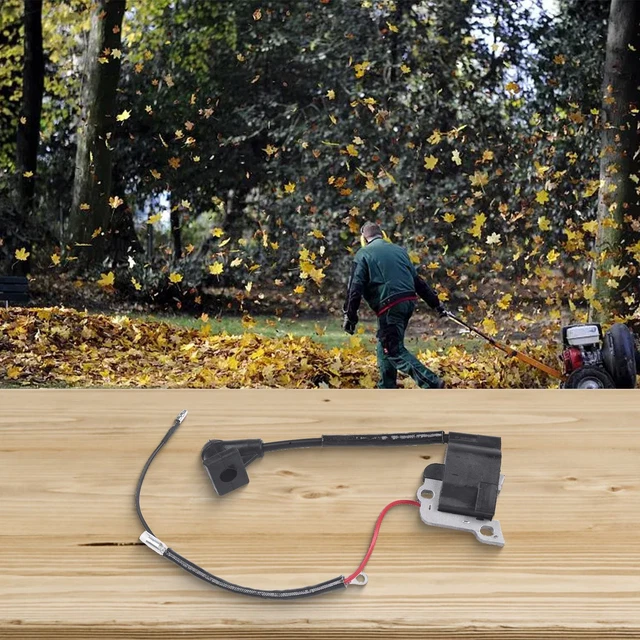 REMPLACEMENT MODULE BOBINES d'allumage Coupe-bordures Souffleur de feuilles EUR 18,07 - PicClick FR