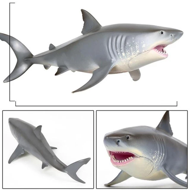 SIMULATED MARINE ANIMAL World Hollow Megalodon Model Children's H2W9 ...