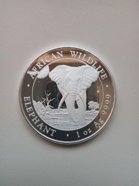 2025 1OZ SOMALIA elephant silver coin, in plastic capsule. £35.00 - PicClick UK