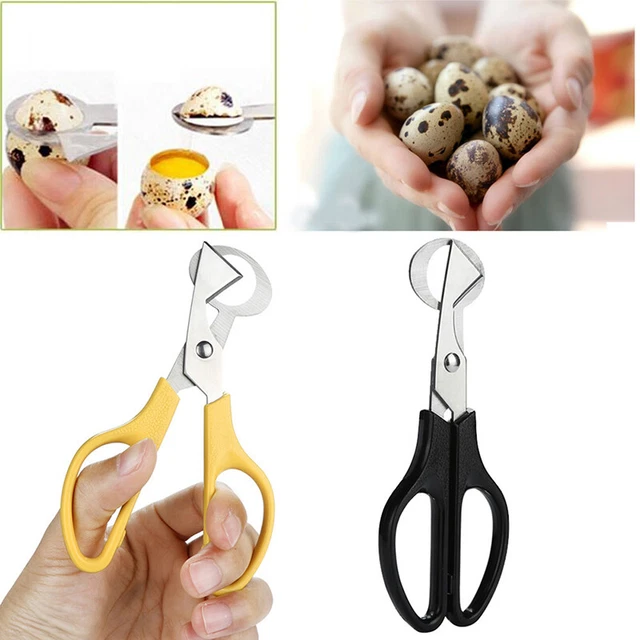 PIGEON QUAIL EGG Scissor Bird Cutter Opener Egg Slicers Kitchen Tool ...