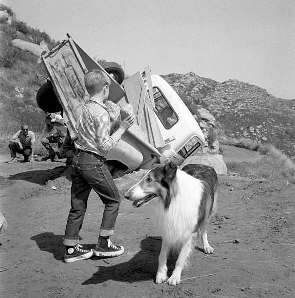 Lassie Tv Show Scene 1963 Jon Provost June Lockhart Old Tv Photo 6 £563 Picclick Uk