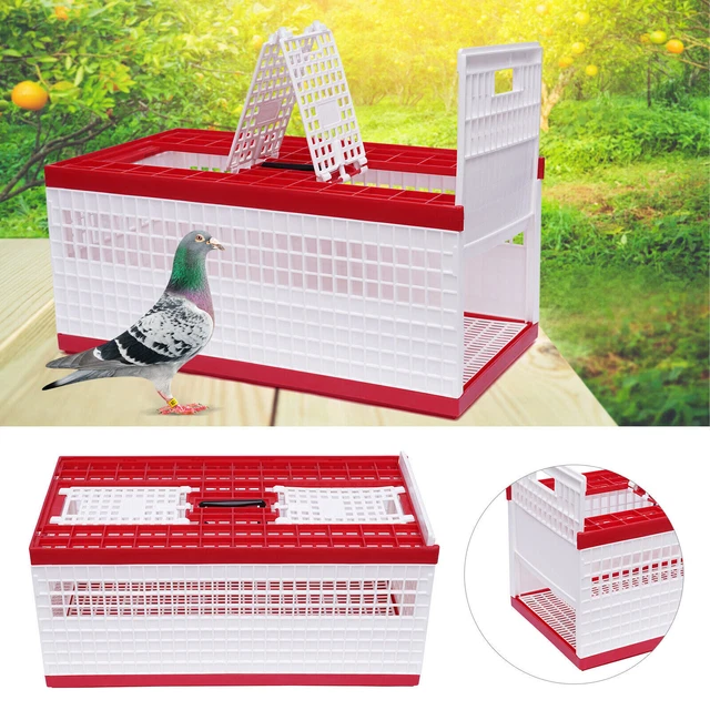RACING PIGEON CARRIER Box Bird Training Basket & 2 Side Doors 2 Top ...