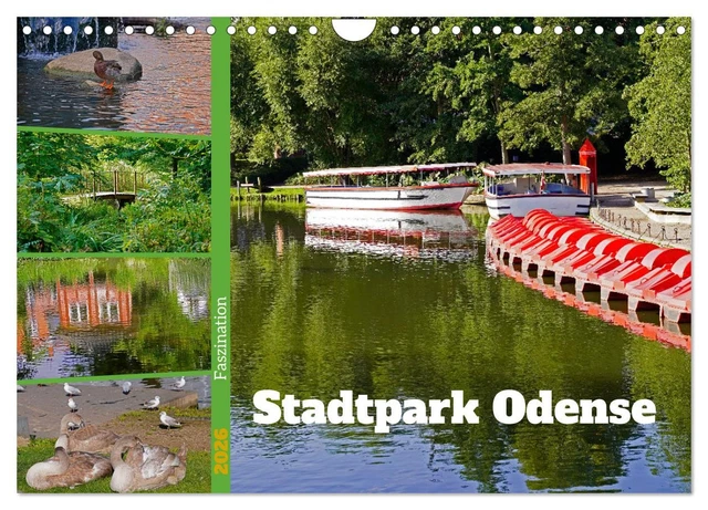 FASCINATION DU PARC municipal d'Odense (Calendrier mural 2026 DIN A4 ...