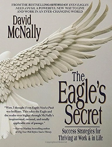 EAGLE'S SECRET: SUCCESS Strategies for Thriving at by McNally, David ...