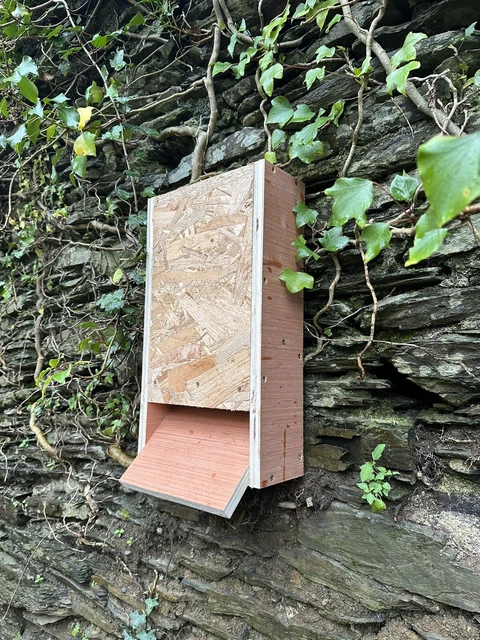 BAT BOX HOUSE Entrance Wildlife Roost Nest Bird Conservation Nature £23 ...