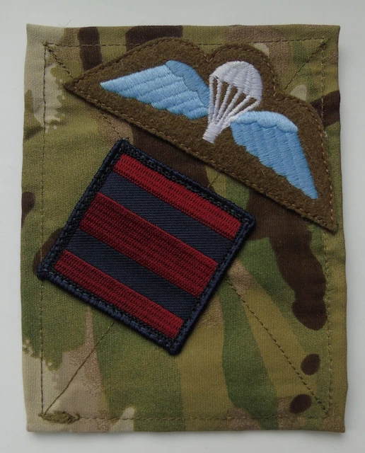 BRITISH ARMY ROYAL Engineers Parachute Trained MTP/Blanking Panel/Patch ...