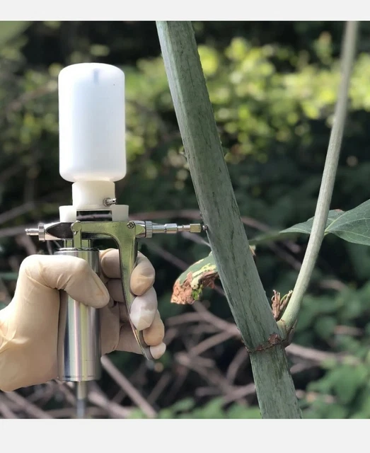 2023 JAPANESE KNOTWEED Injector Syringe Killer with 3 needles £49.00 ...