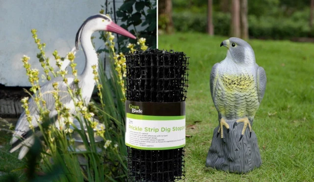 BIRD DETERRENT DIG Stopper Prickle Strip Plastic Falcon/Heron Pest ...