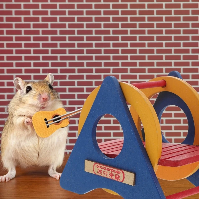 COLORFUL WOODEN SEESAW Platform Pet Playing Toys for Small Hamster ...