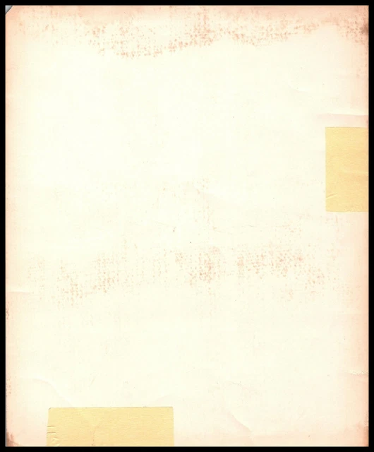 1950S HOLLYWOOD ACTRESS SWIMSUIT Bombshell Jayne Mansfield CHEESECAKE ...