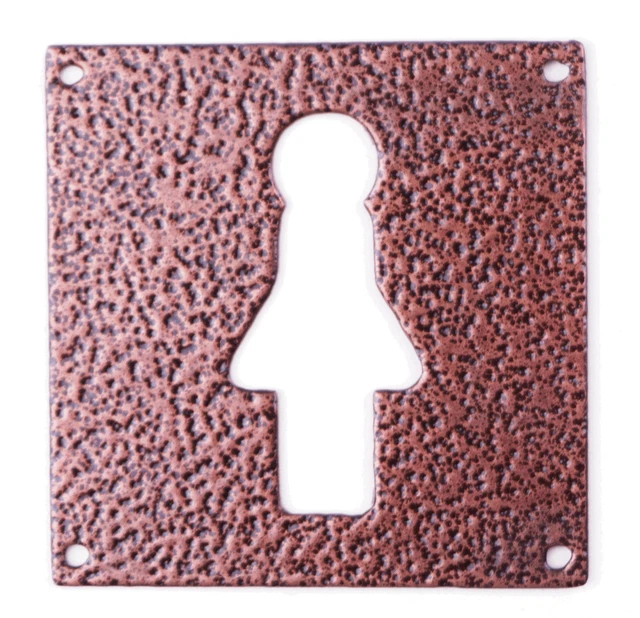 FEMALE TOILET / LOO Door Sign PLAQUE Metal Powder Coated to many ...