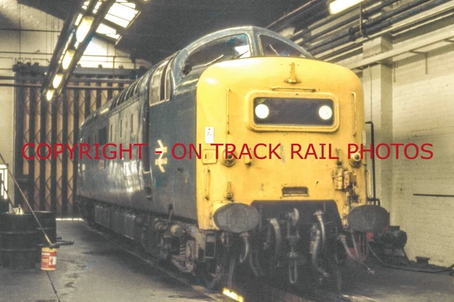 UK RAILWAY PHOTOGRAPH Of Class 55 Deltic 55009. Rm55-124 £1.70 ...