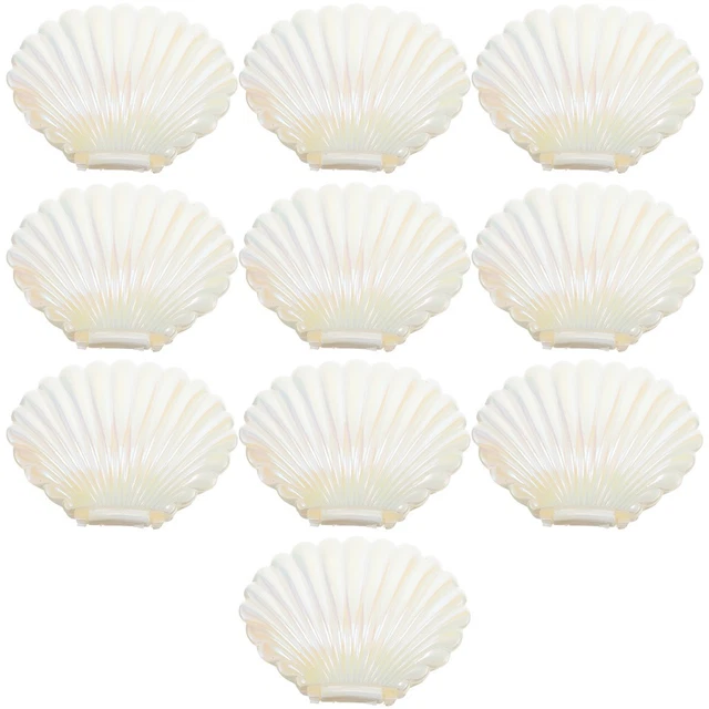 10PCS SEASHELL PARTY Favor Boxes Glittery Marine-Themed Candy Jewelry ...