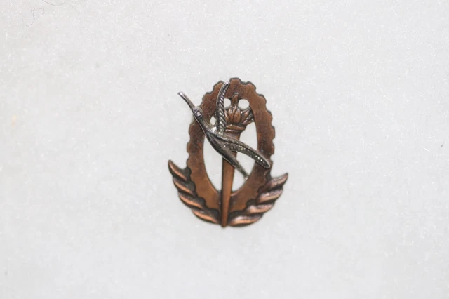 ISRAELI ISRAEL AIR Force Badge Idf Iaf Pin Look #60 Old Squadron EUR 14 ...