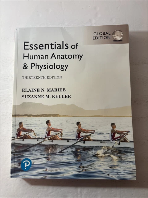 ESSENTIALS OF HUMAN Anatomy & Physiology Thirteenth Edition Pearson ...