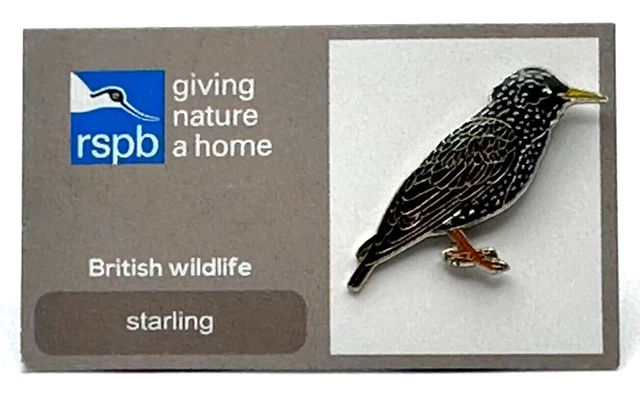RSPB PIN BADGE Starling on grey GNAH card £4.00 - PicClick UK