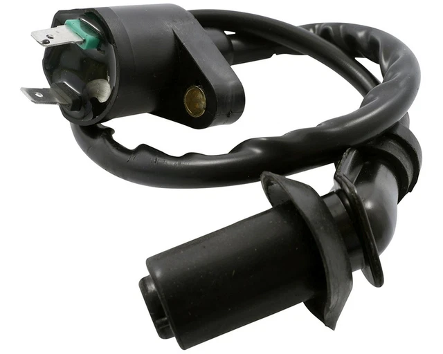 BOÎTIER CDI 12V pour TAO TAO Thunder 50cc, Zummer, TNT MOTOR Roma ...