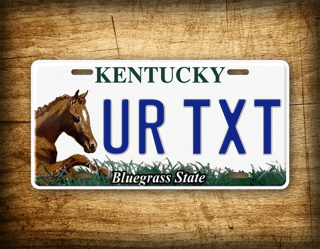 PERSONALIZED KENTUCKY BLUEGRASS State License Plate ANY TEXT 6x12 ...