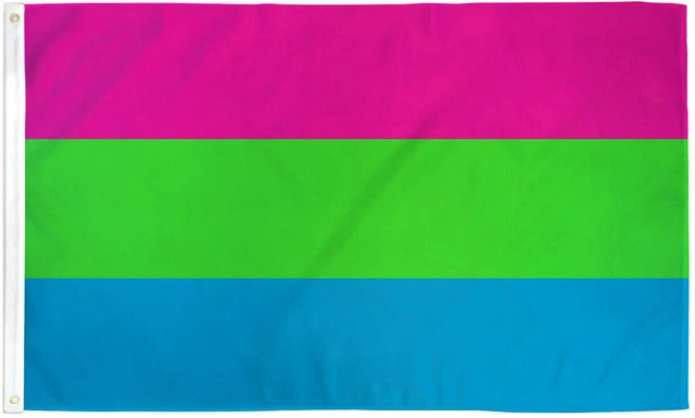 POLYSEXUAL BANDERA 0.9X1.5M Lgbtqia Poli Pride Lgbt 3x5 EUR 10,27 ...