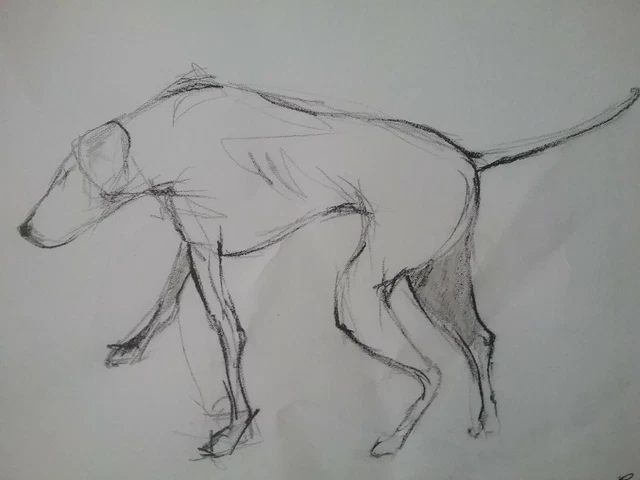 ORIGINAL SIGNED BLACK expressive chinagraph pencil drawing of a dog on ...