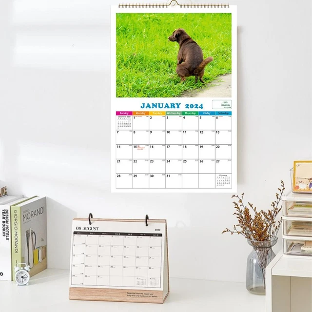 DOG POOPING CRAPPING 2024 Hanging Calendar Monthly Wall Calendar Home £ ...