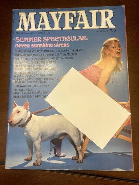 VINTAGE MAYFAIR MENS Magazine Vol Volume 16 Issue 7 July 1981 £15.95 - PicClick UK