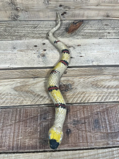 ANACONDA RUBBER SNAKE Model 12093 Yellow Brown 13” Bead In Realistic ...