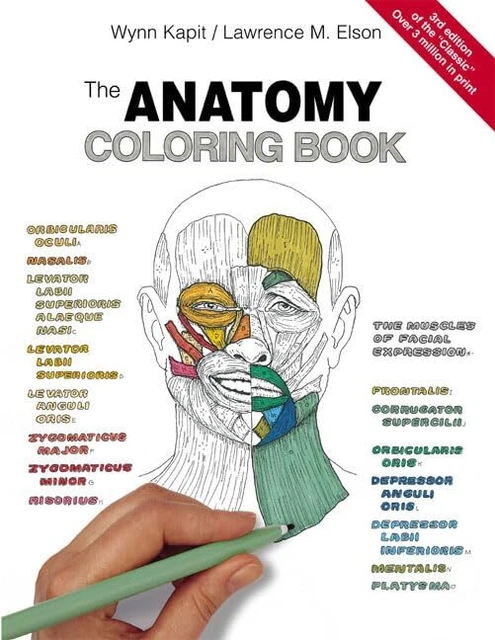 THE ANATOMY COLORING Book (3rd Edition) £3.50 - PicClick UK