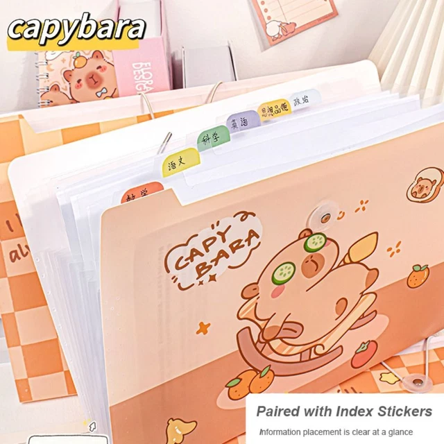 CAPYBARA A4 FILE Folder Creative File Organizer Test Paper Storage ...