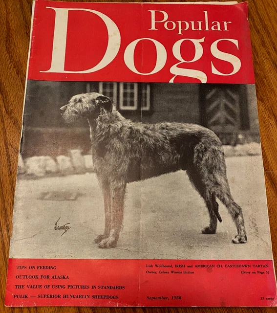 VINTAGE POPULAR DOGS Magazine - 1958 - Irish Wolfhound Cover £3.77 ...