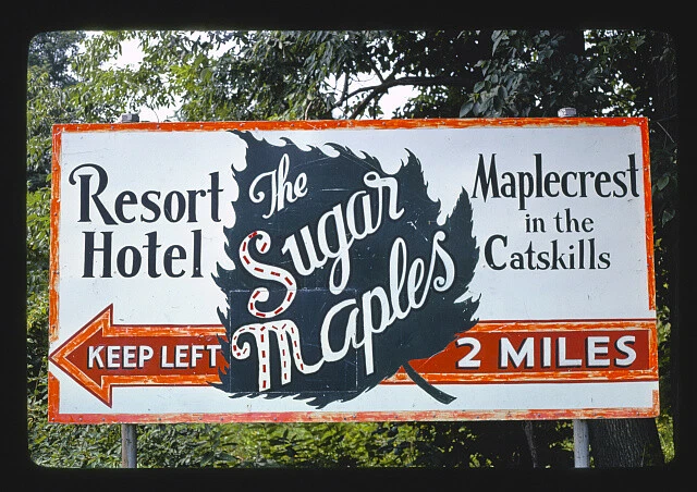 SUGAR MAPLES SIGN Maplecrest New York 1980s Historic Old Photo 1 $9.00 ...