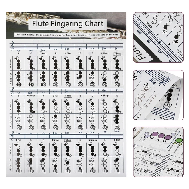 FLUTE LEARNING GUIDE Chord Chart for Beginner Technique £17.65 ...