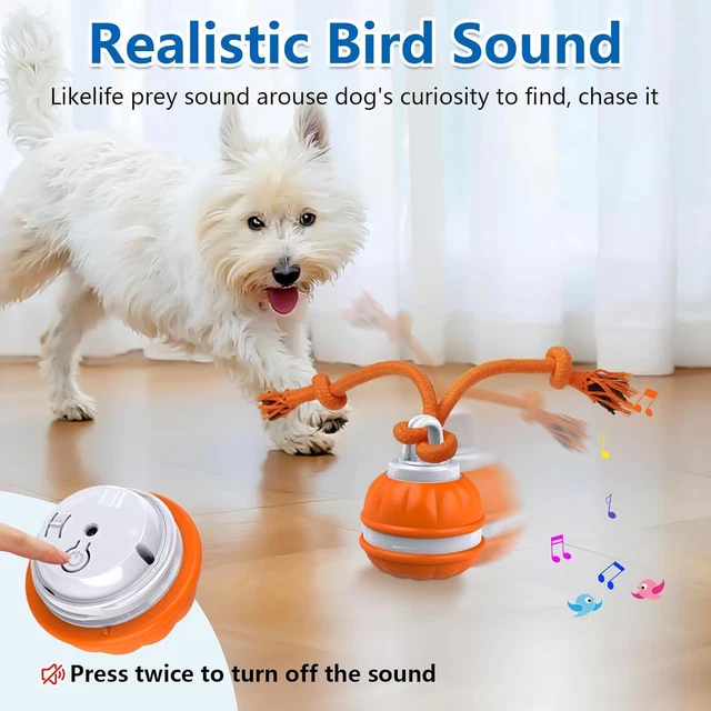 INTERACTIVE DOG TOYS, Automatic Rolling Ball, Squeak Dog Toy, Touch ...
