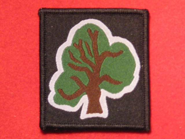 BRITISH ARMY WW2 46Th Infantry Division North Midlands Formation Badge ...