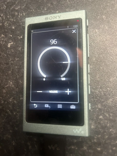 SONY NW-A45 16GB Walkman MP3 Player Touch Screen Plus Genuine Sony 64g ...