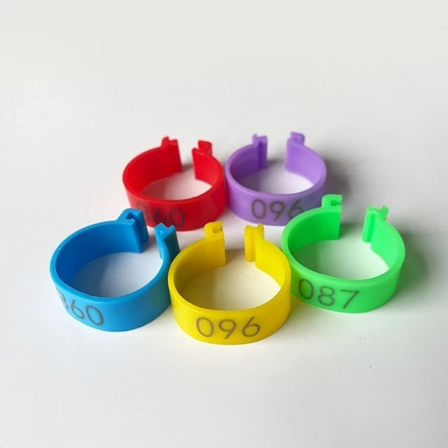 100PCS IDENTIFICATION Ring Plastic Chicken Leg Rings Poultry Ankle ...