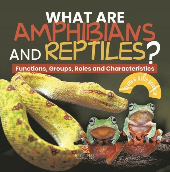 WHAT ARE AMPHIBIANS and Reptiles? Functions, Groups, Roles and ...