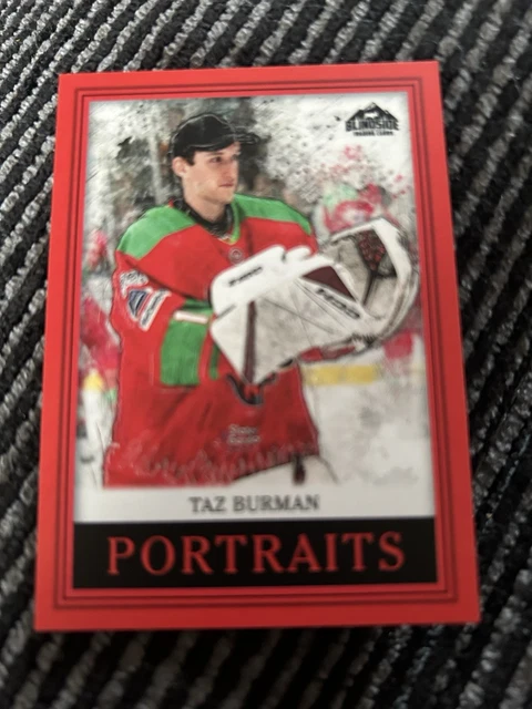 CARDIFF DEVILS BLINDSIDE Trading Cards. 2024/25. Series 2. PT5. Taz ...