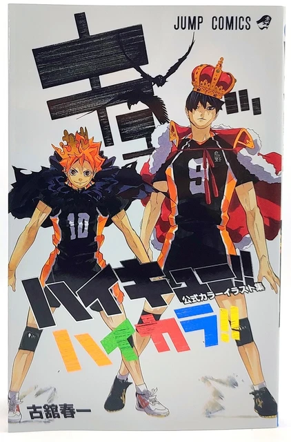 HAIKYUU COLOR ILLUSTRATIONS Art Book Visual Haruichi Furudate Manga ...