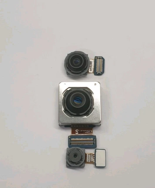 SAMSUNG GALAXY A55 5G Sm-A556 Rear Main Camera Replacement Part Flex ...