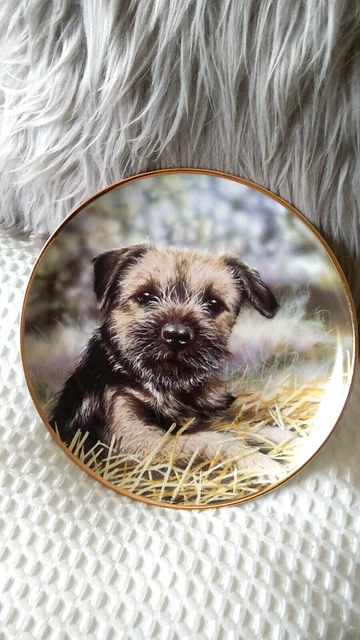 DANBURY MINT COLLECTABLE Plate Little Rascal 8" Diameter Border Terrier ...